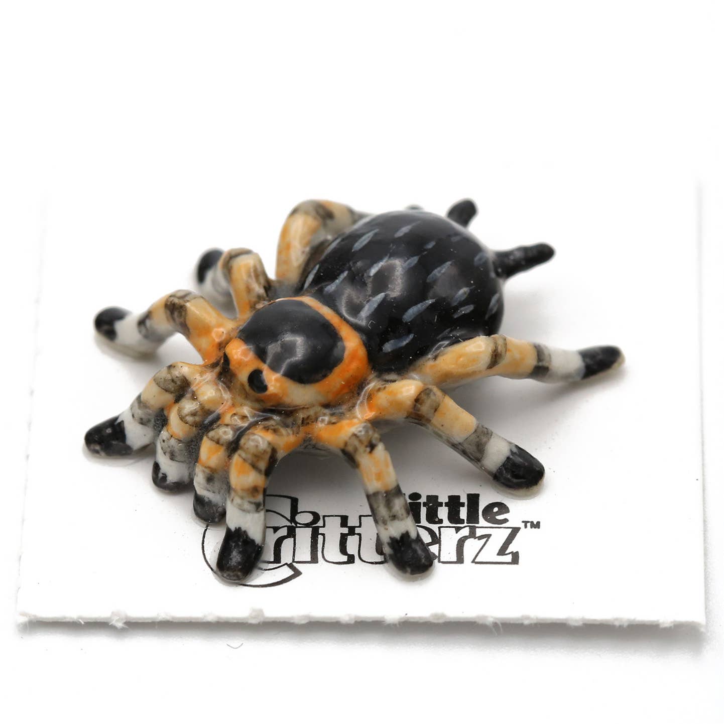 Silk Tarantula Porcelain Miniature – Ember and Stone Curiosities