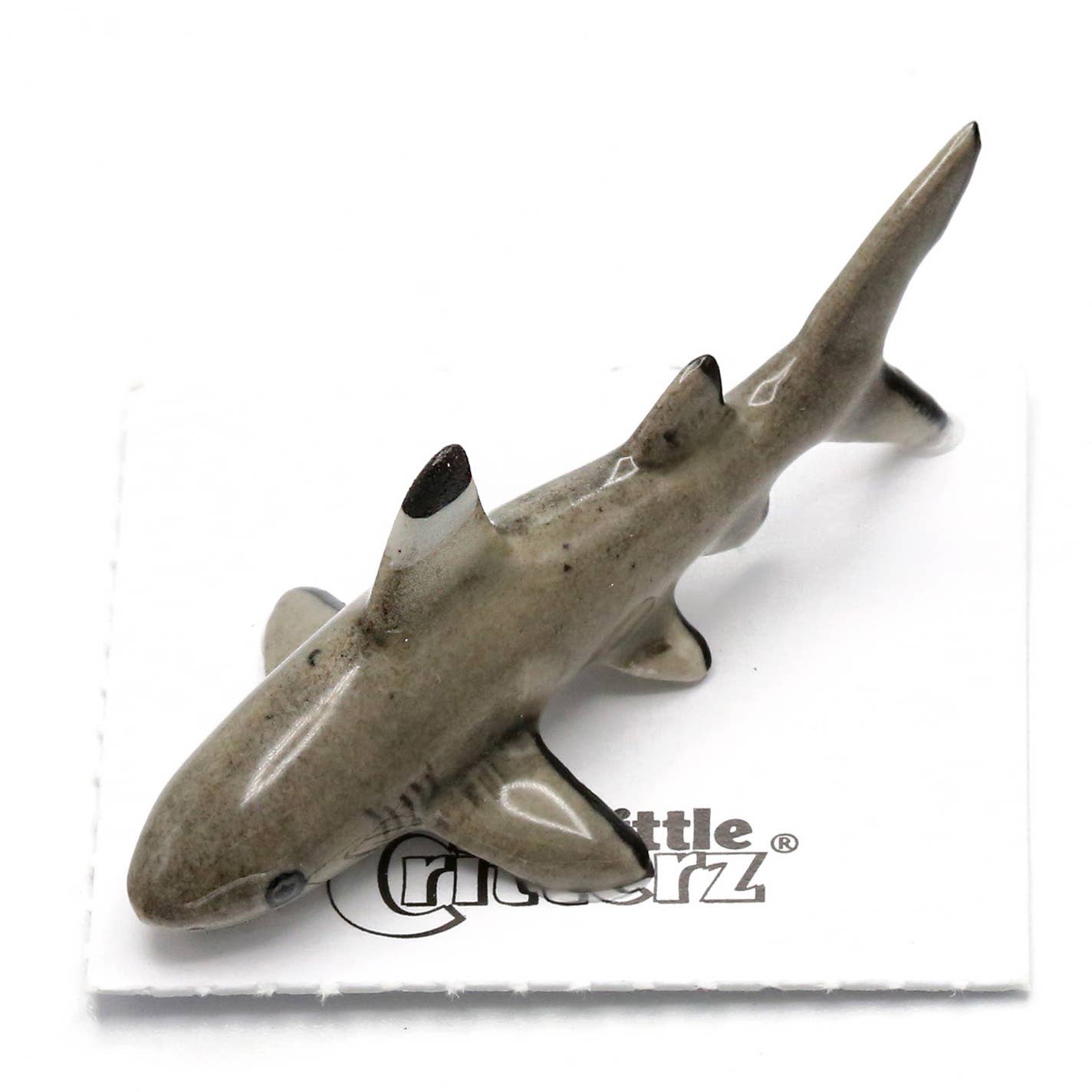 Guardian Black Tip Shark Miniature – Ember and Stone Curiosities