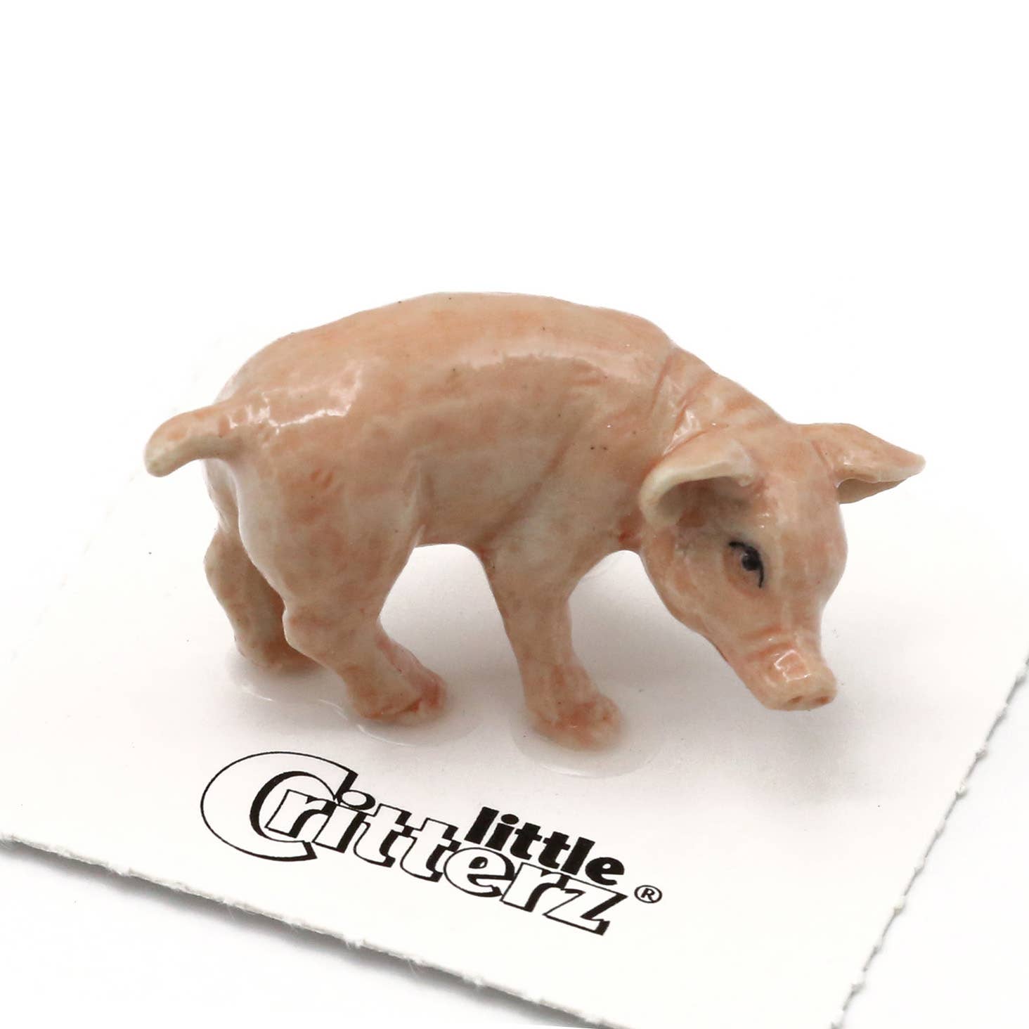 Wilbur Piglet Porcelain Miniature – Ember and Stone Curiosities